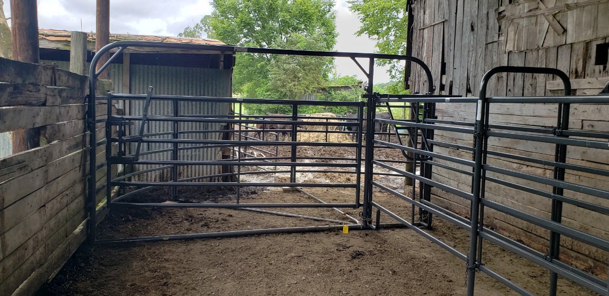 Cattle loading ideas - General Chat - Red Power Magazine Community