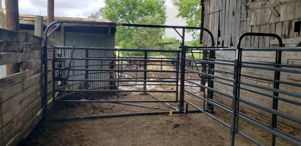 Cattle loading ideas - General Chat - Red Power Magazine Community