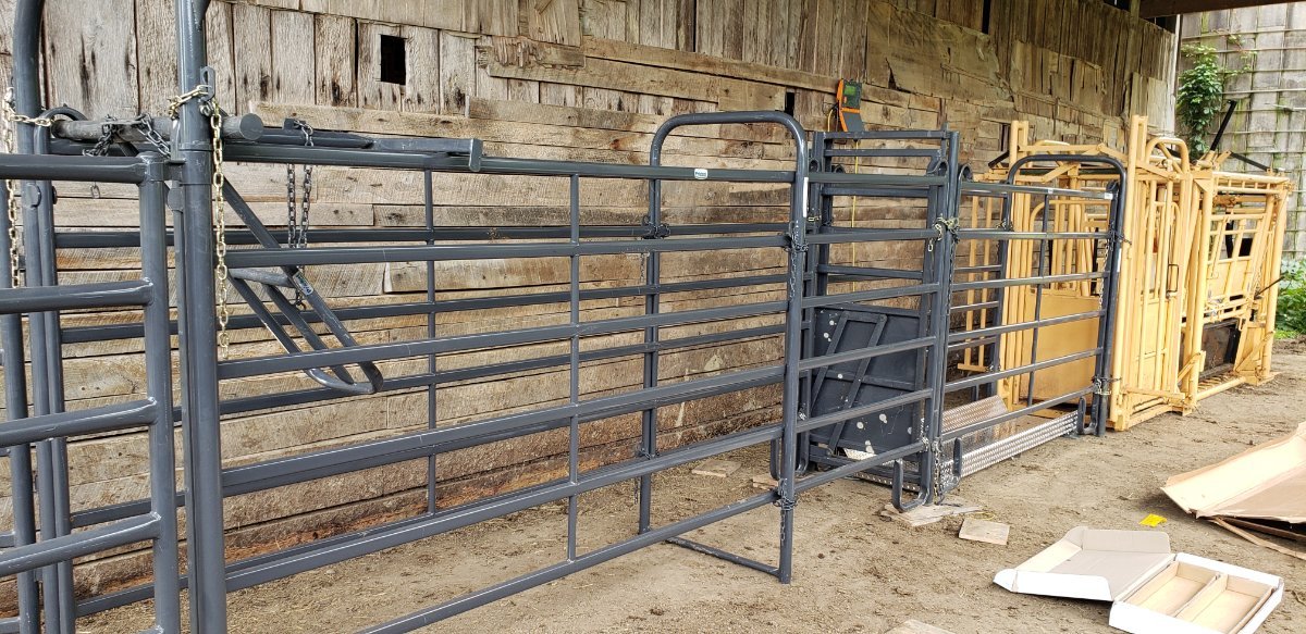 Cattle loading ideas - General Chat - Red Power Magazine Community