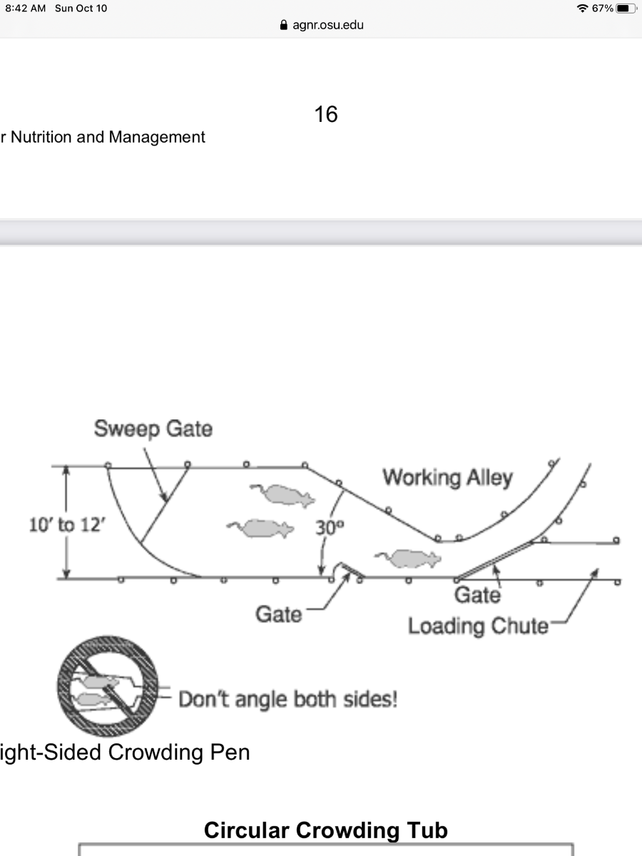Cattle loading ideas - General Chat - Red Power Magazine Community