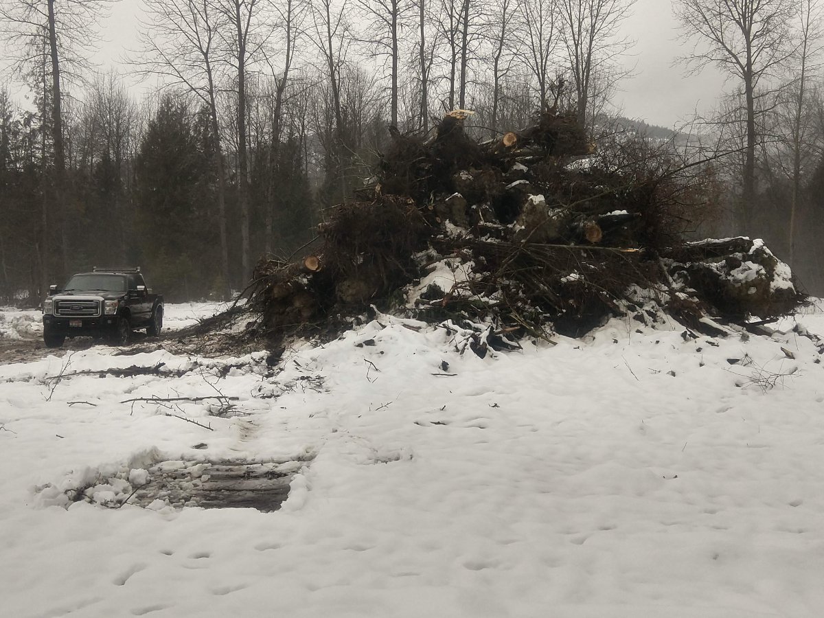 Tree pusher attachment - General Chat - Red Power Magazine Community