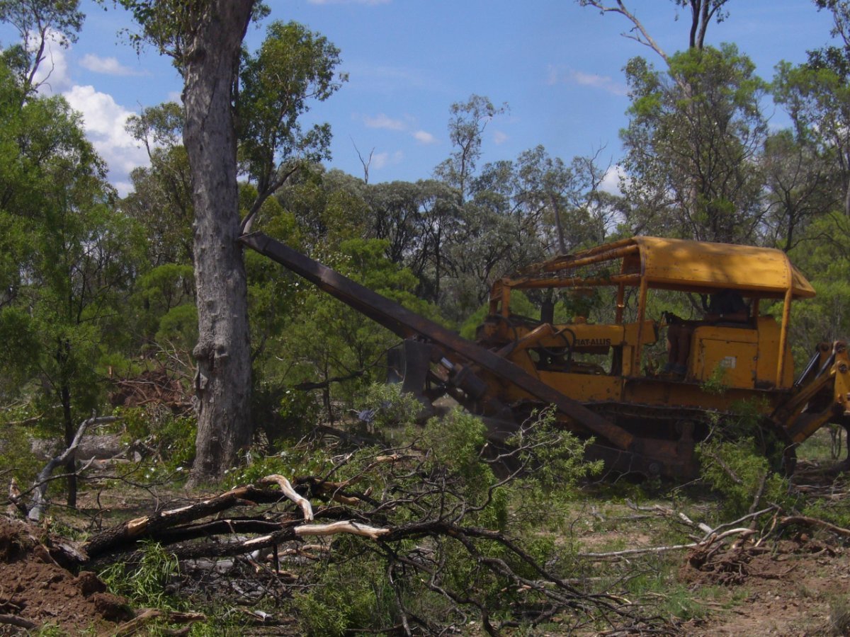Tree pusher attachment - General Chat - Red Power Magazine Community