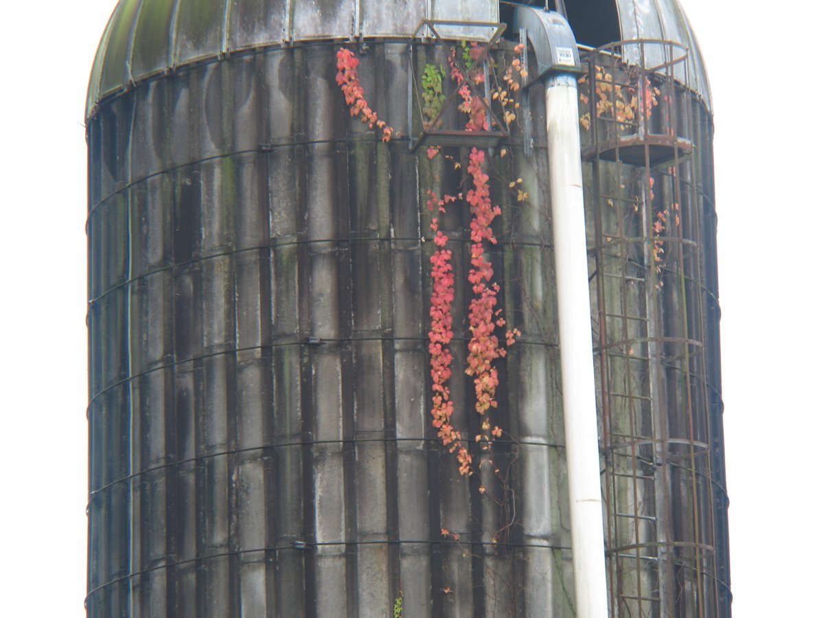 Silo thread - General Chat - Red Power Magazine Community