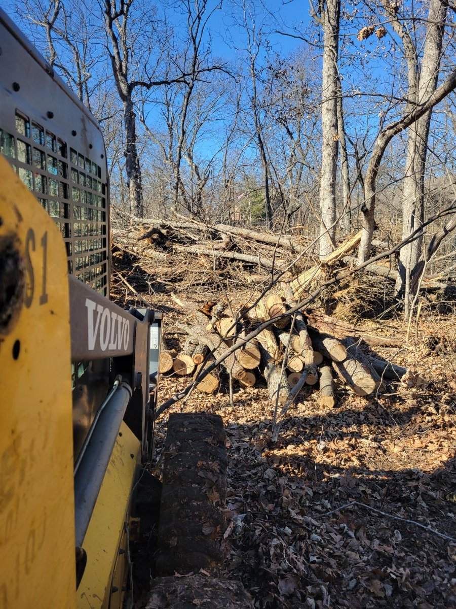Logging for firewood - General Chat - Red Power Magazine Community