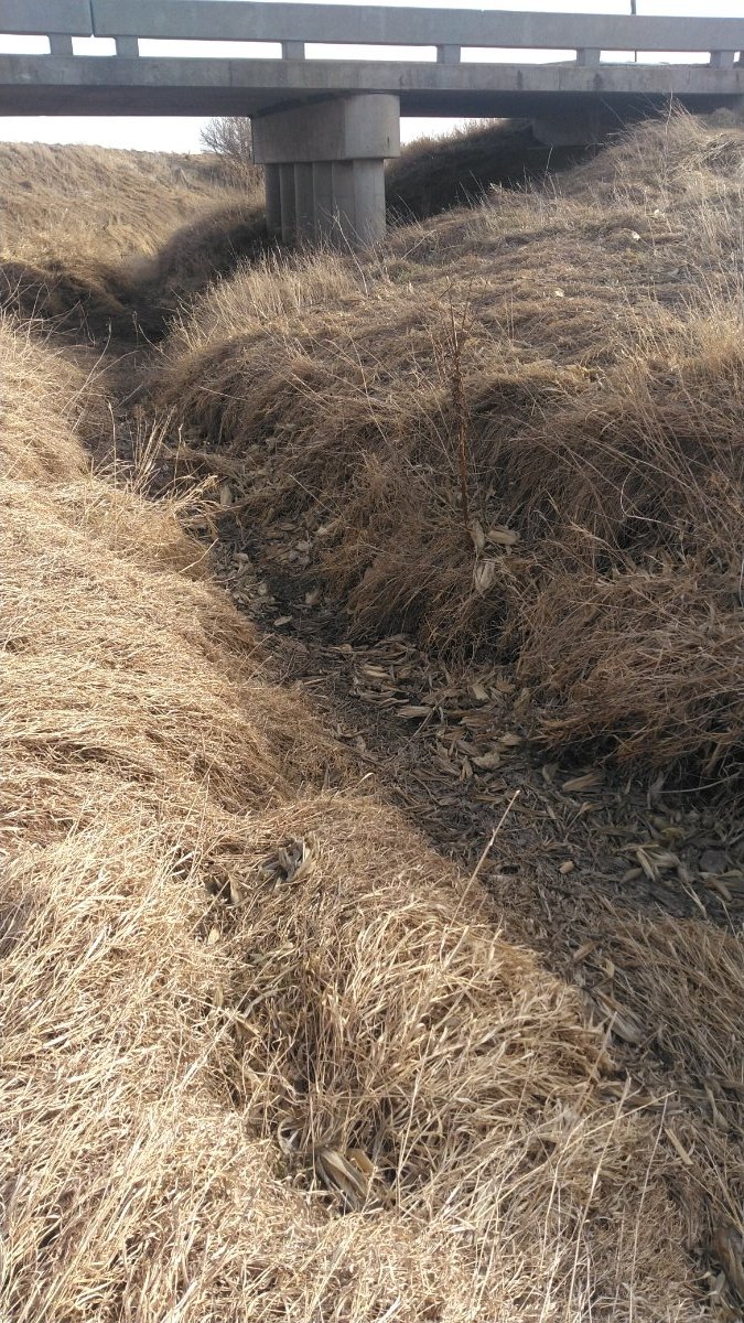 Creek ran dry - General Chat - Red Power Magazine Community