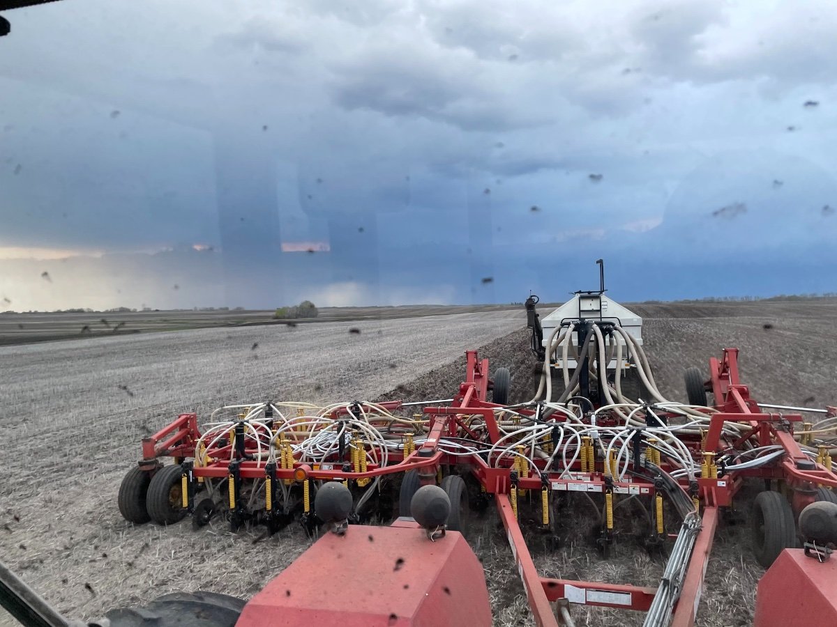 2022 crop pics - General Chat - Red Power Magazine Community