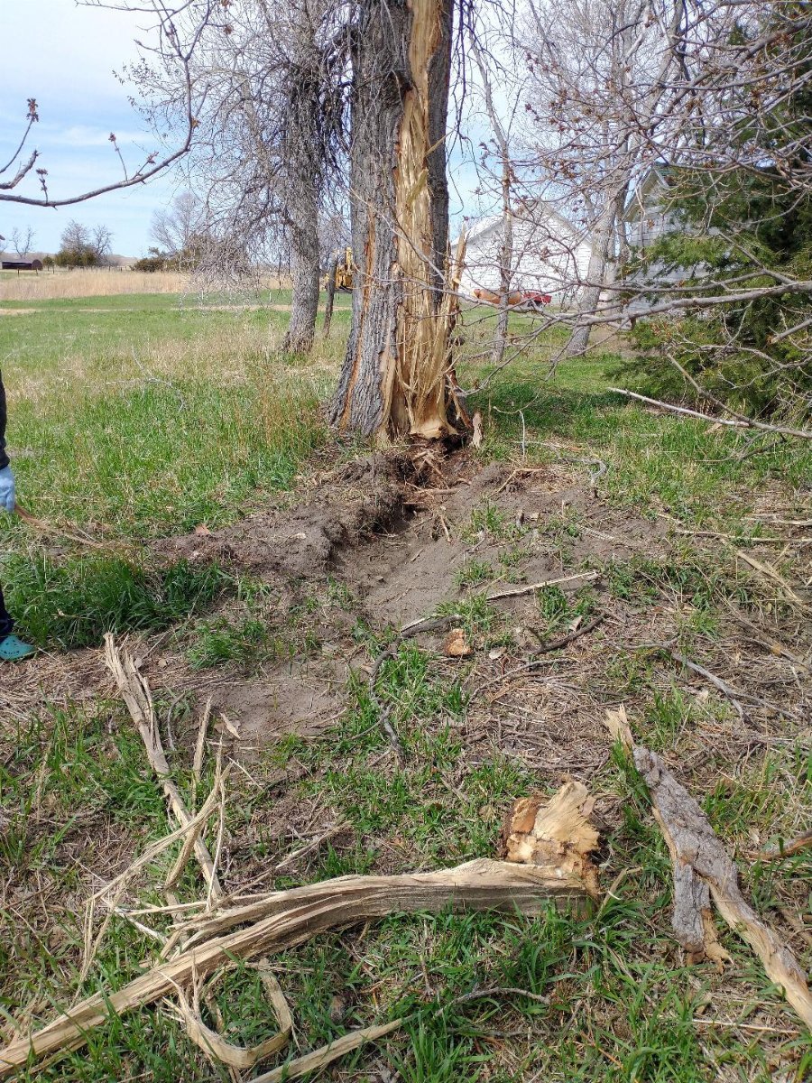 Lightning damage ? - General Chat - Red Power Magazine Community