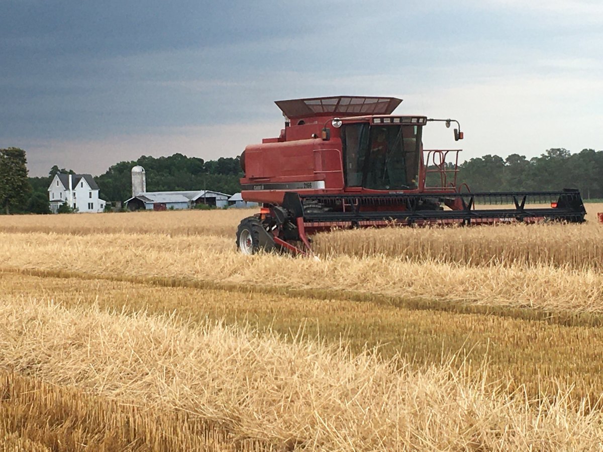 2166 & Macdon 973/ Case IH 2052 - Technical IH Talk - Red Power ...