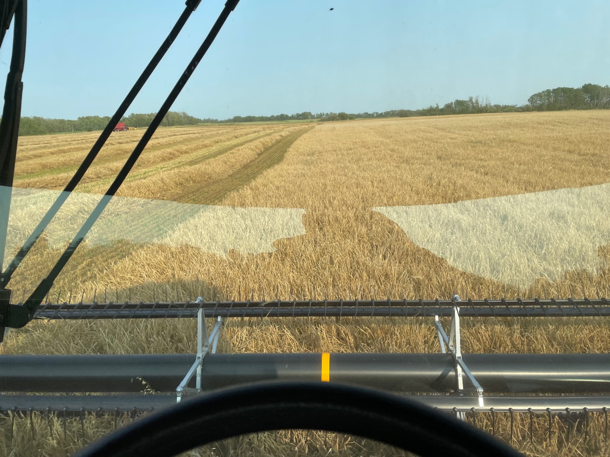 2022 crop pics - Page 14 - General Chat - Red Power Magazine Community