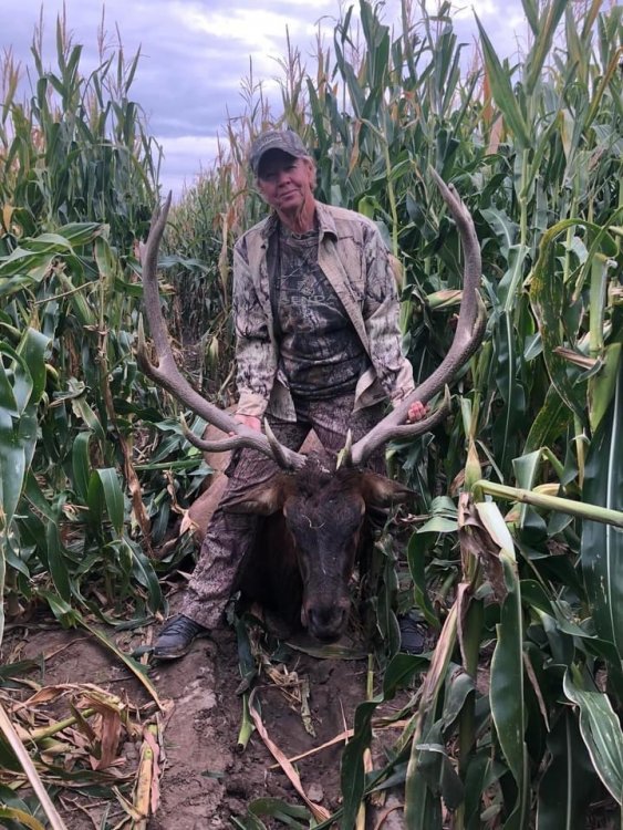 Nebraska Elk - General Chat - Red Power Magazine Community