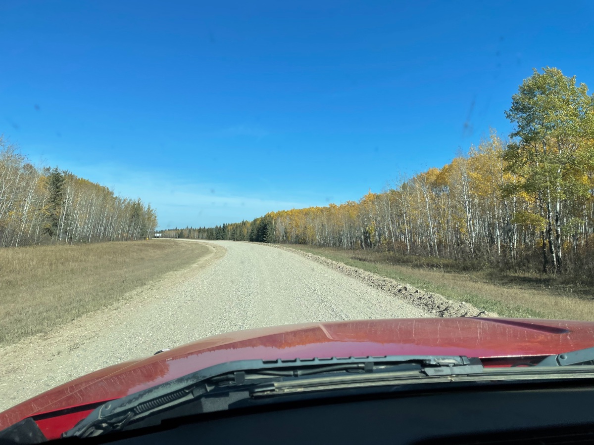 2022 crop pics - Page 17 - General Chat - Red Power Magazine Community