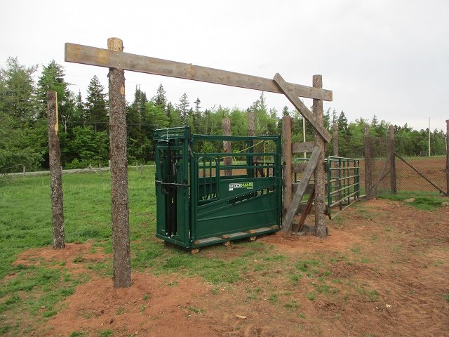 squeeze chutes and head gates - Page 2 - General Chat - Red Power ...