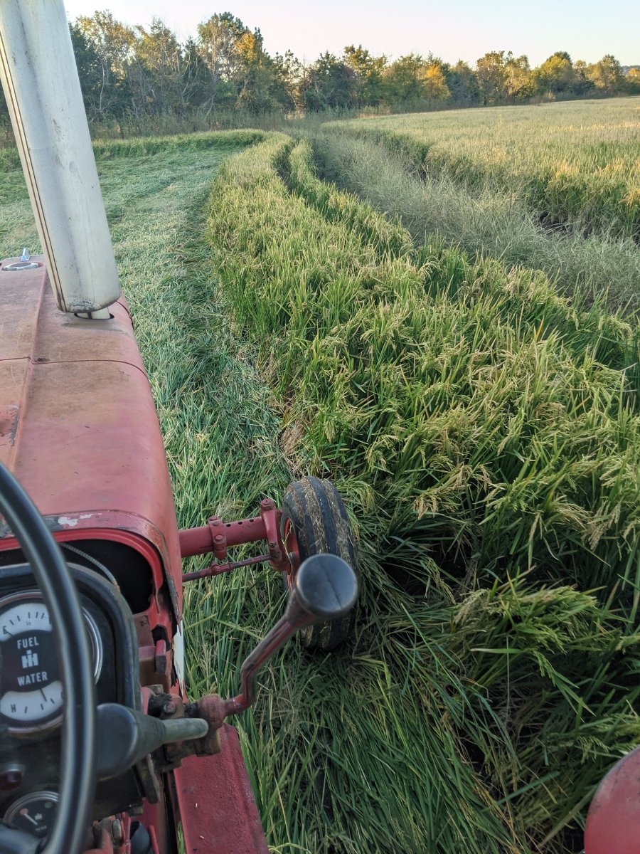 Harvesting down rice - Page 2 - General Chat - Red Power Magazine Community