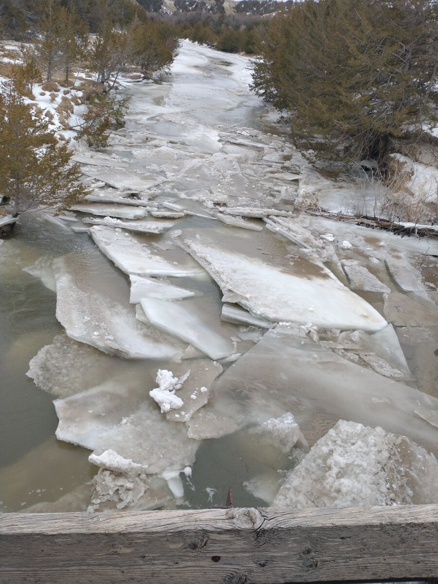 Its cold. - General Chat - Red Power Magazine Community