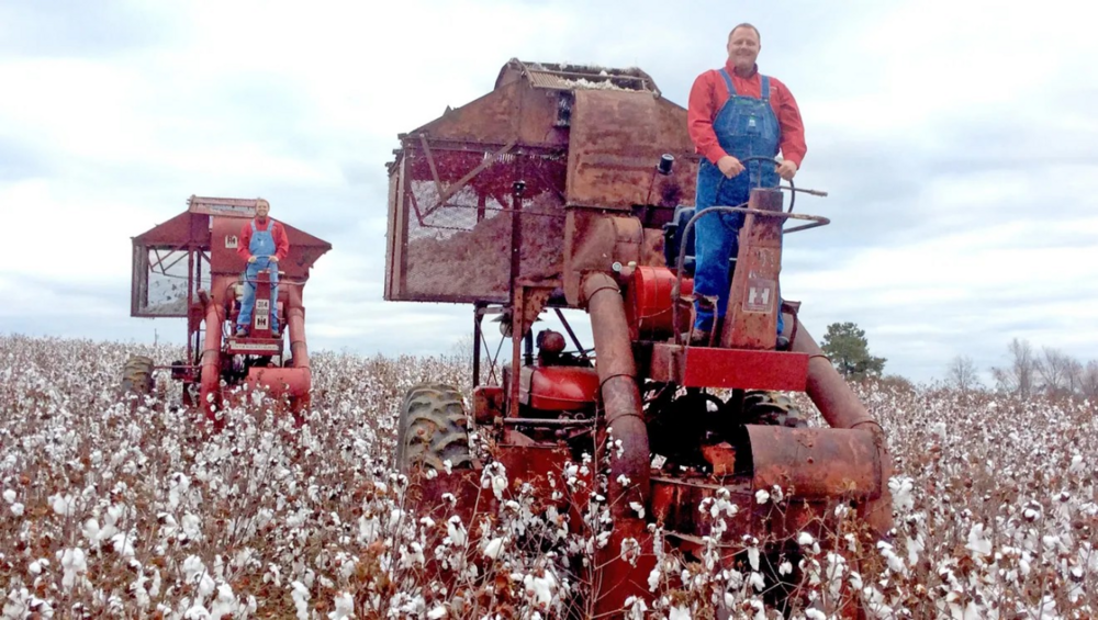 Cotton pickers - General Chat - Red Power Magazine Community