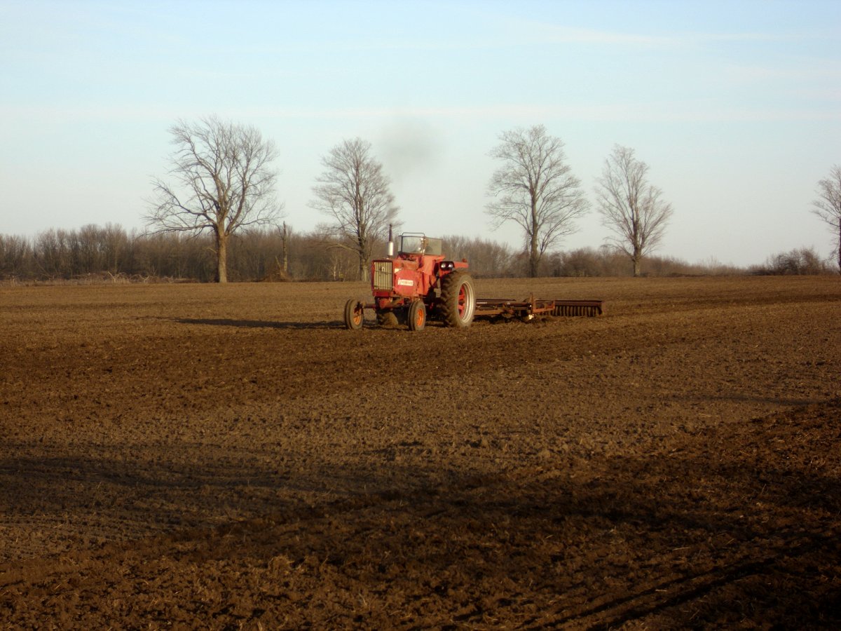 D282 head gasket - Technical IH Talk - Red Power Magazine Community