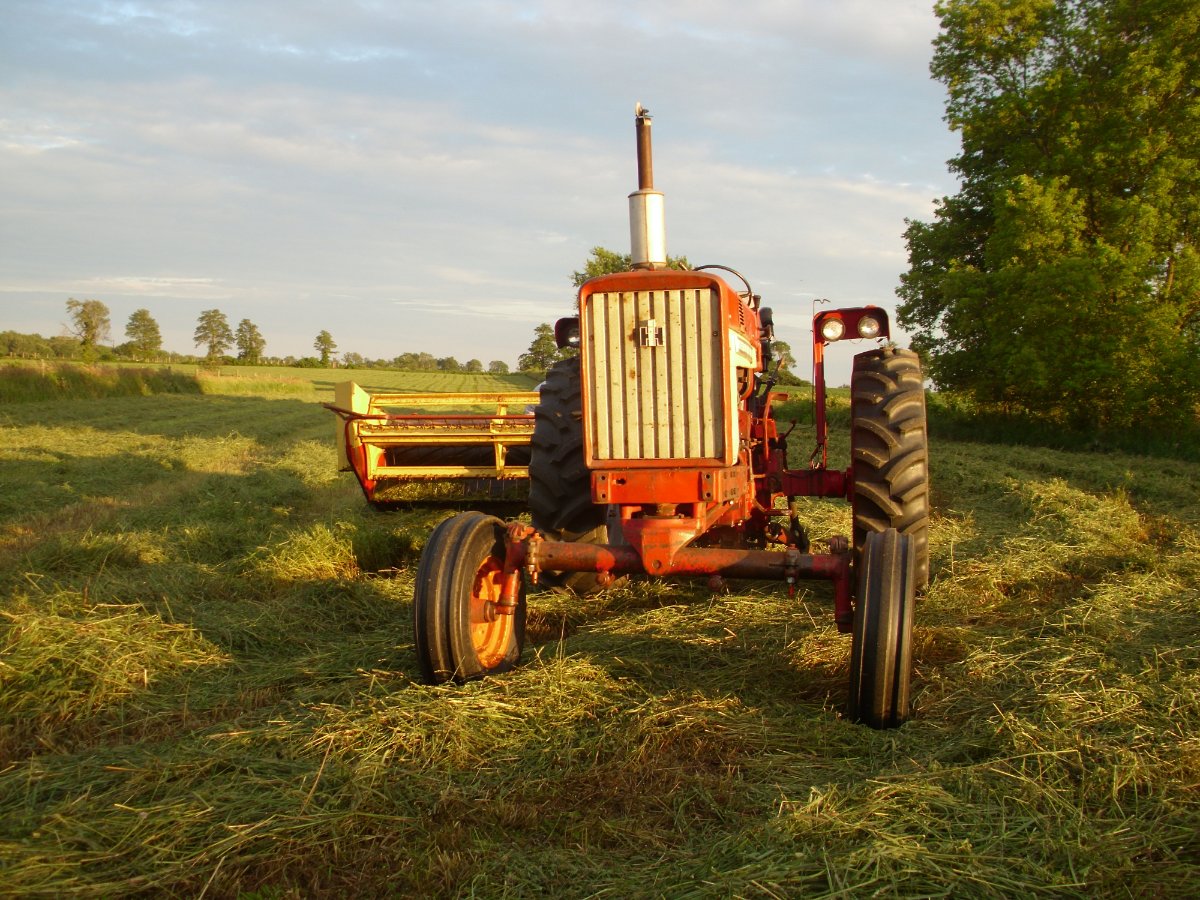 D282 head gasket - Technical IH Talk - Red Power Magazine Community