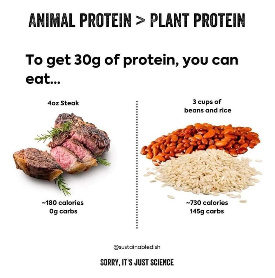 Thirty grams of protein - two ways to do it - General Chat - Red Power ...