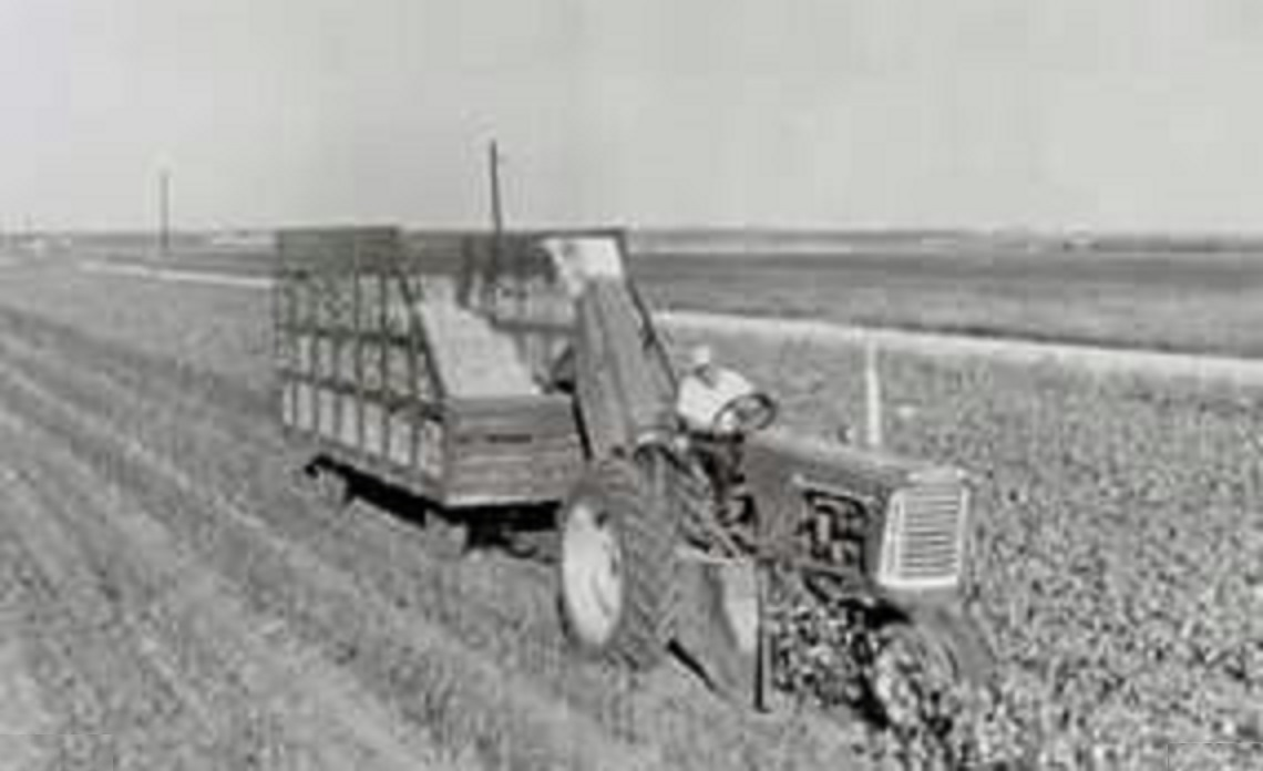 Pics of some old cotton strippers - General Chat - Red Power Magazine ...