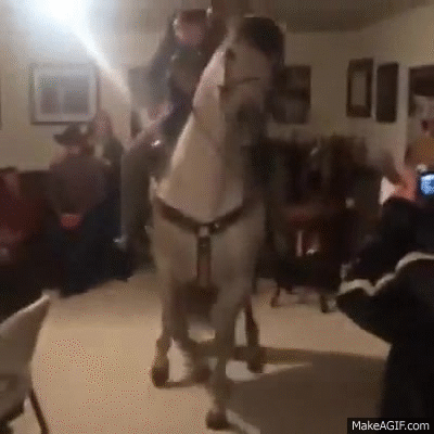The Horse and Mule Thread - Page 10 - General Chat - Red Power Magazine ...