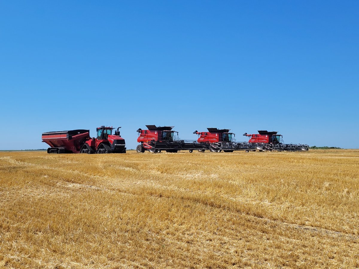 Draper heads and a yield bump? - General Chat - Red Power Magazine ...