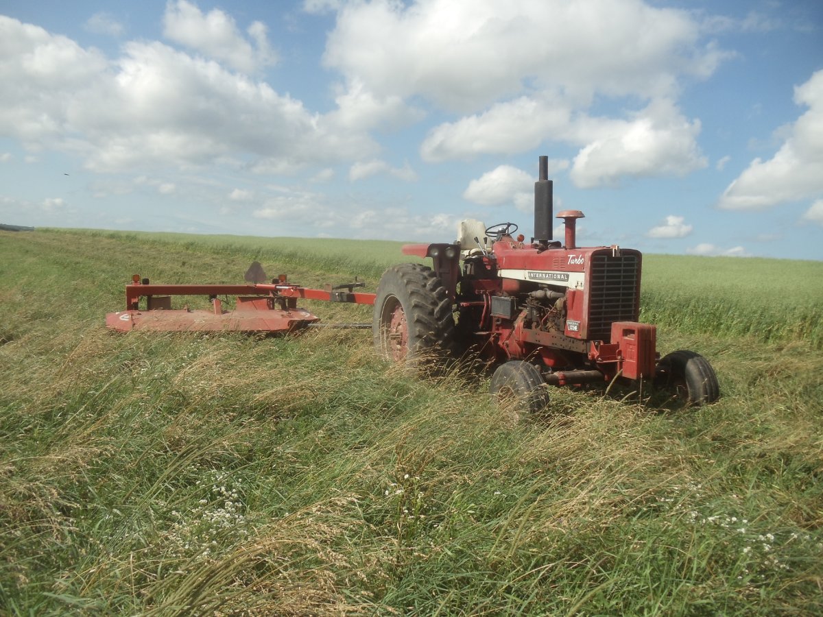 My Favorite IH On The Farm - Page 3 - General Chat - Red Power Magazine ...