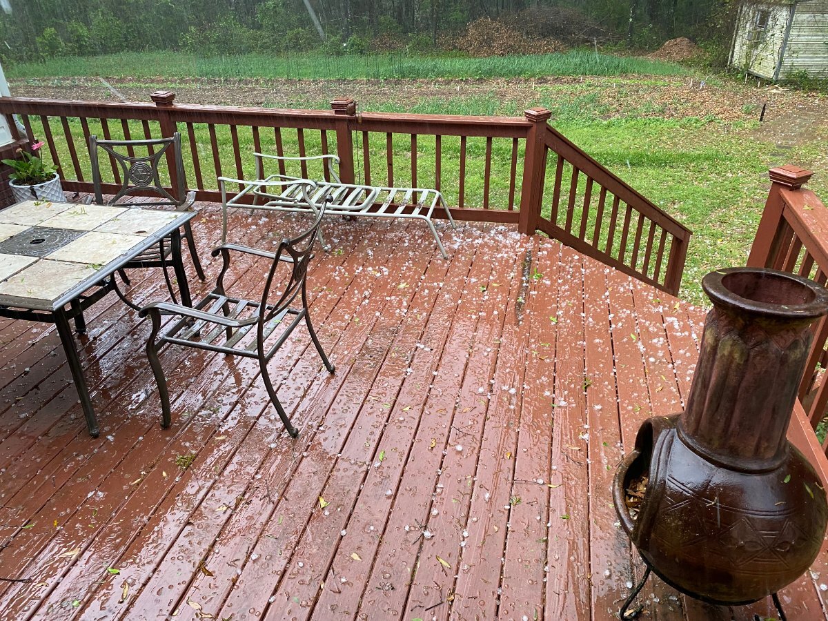 Hail! - General Chat - Red Power Magazine Community