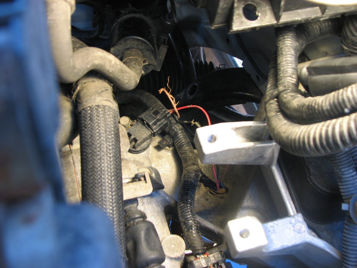 Rodent damage to wiring PICTURES - General Chat - Red Power Magazine ...