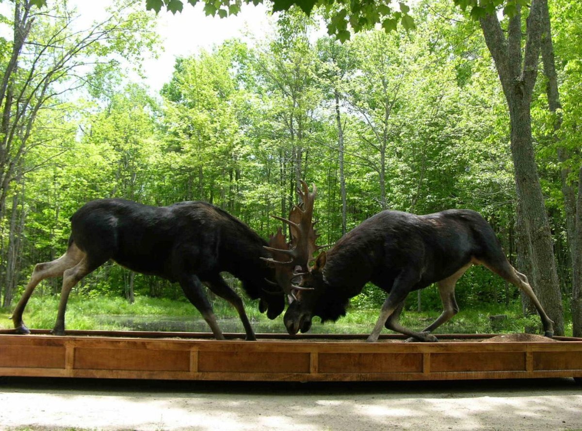 One sided - General Chat - Red Power Magazine Community