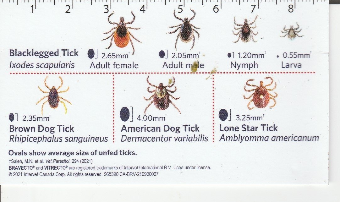 Equipment auction - Page 4 - General Chat - Red Power Magazine Community