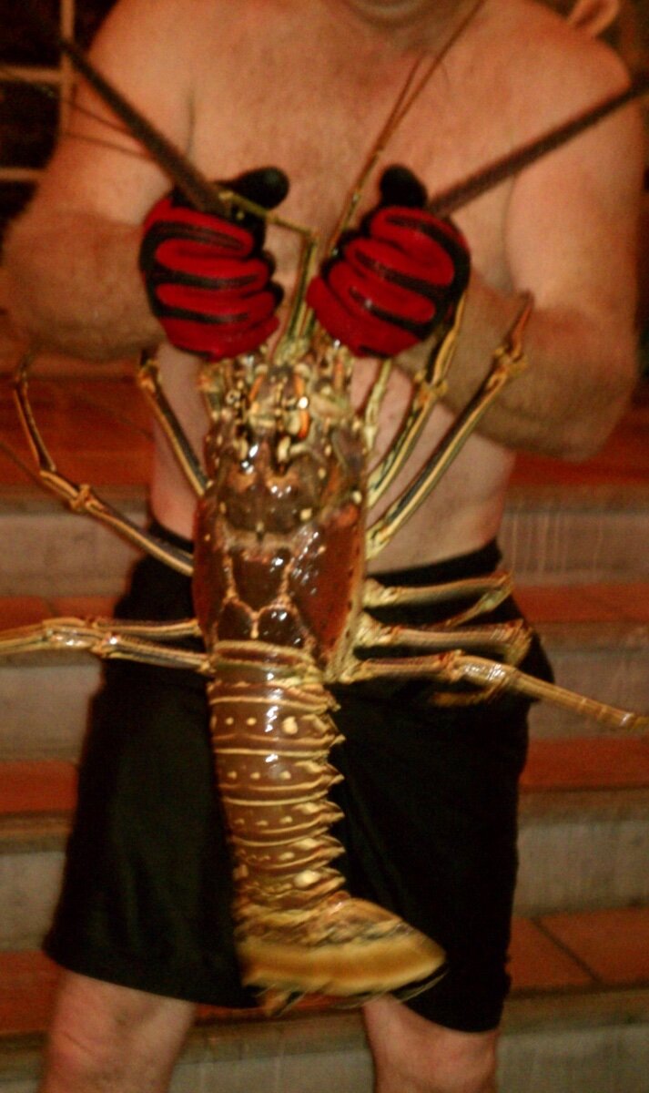 Crawfish boil! - General Chat - Red Power Magazine Community