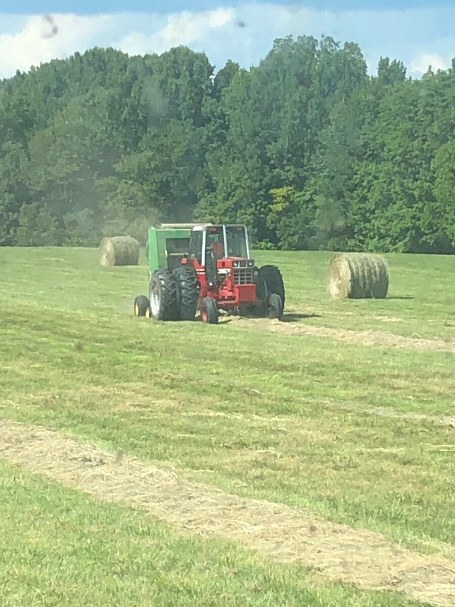 Hay Monster - General Chat - Red Power Magazine Community