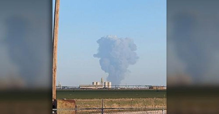 Dairy farm fire/explosion in Texas kills 18,000 cows - General Chat ...