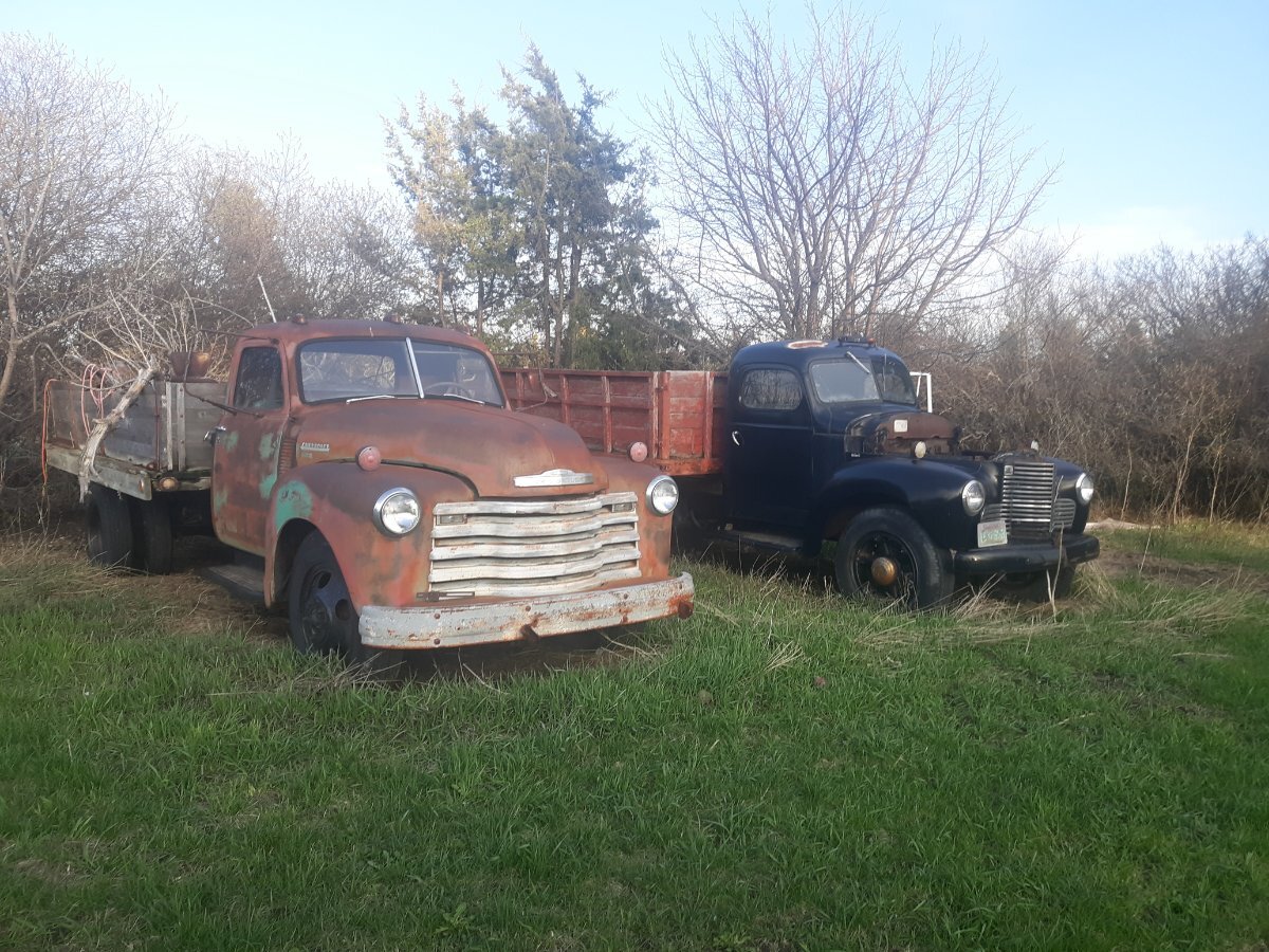 On a lighter note... - General Chat - Red Power Magazine Community