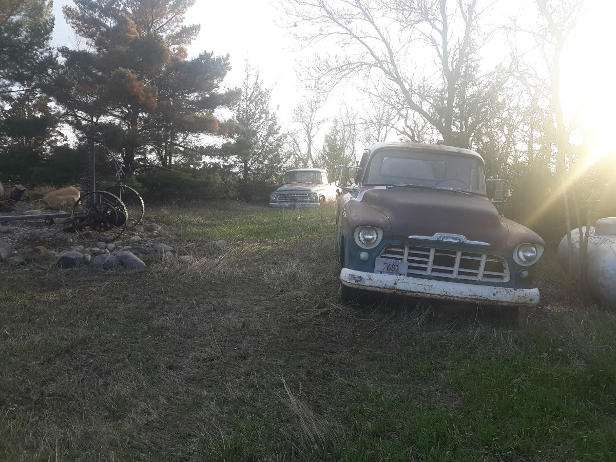 On a lighter note... - General Chat - Red Power Magazine Community