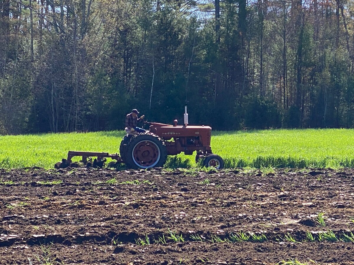 3rd Saturday in a row plow day - General Chat - Red Power Magazine ...