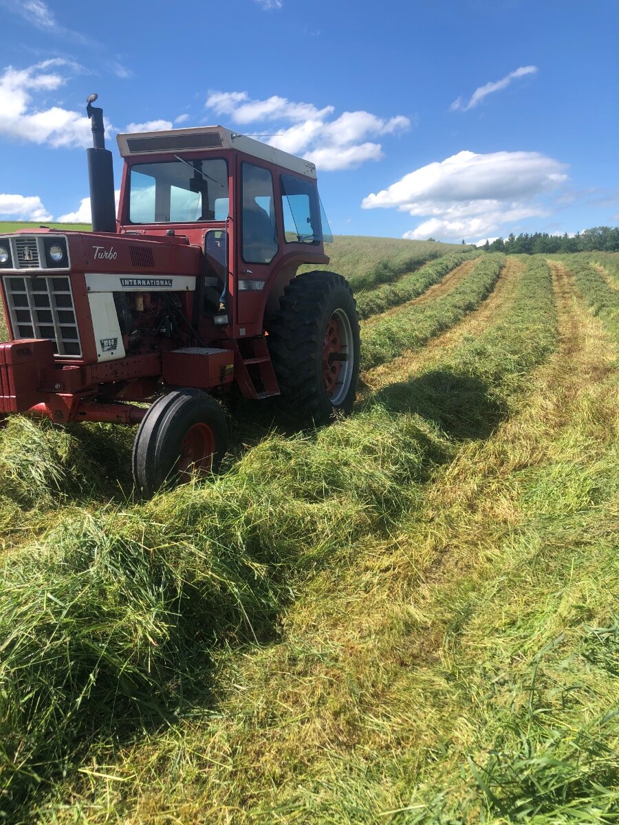 Poor hay crop - Page 2 - General Chat - Red Power Magazine Community