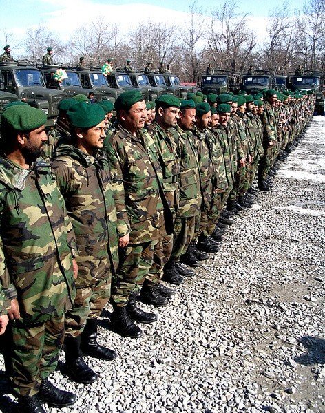 IH Tractors on Montana Farm - Page 978 - General Chat - Red Power ...