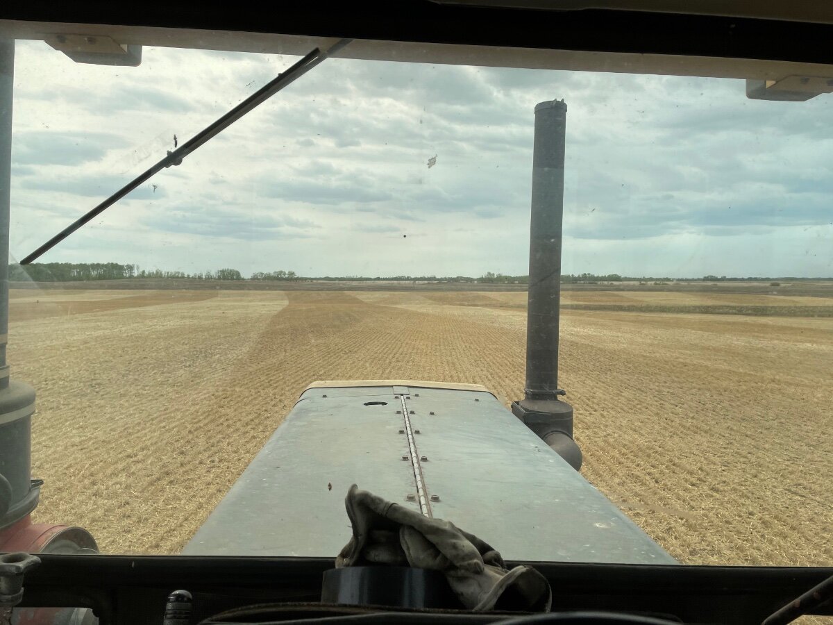 2023 crop pics - Page 2 - General Chat - Red Power Magazine Community