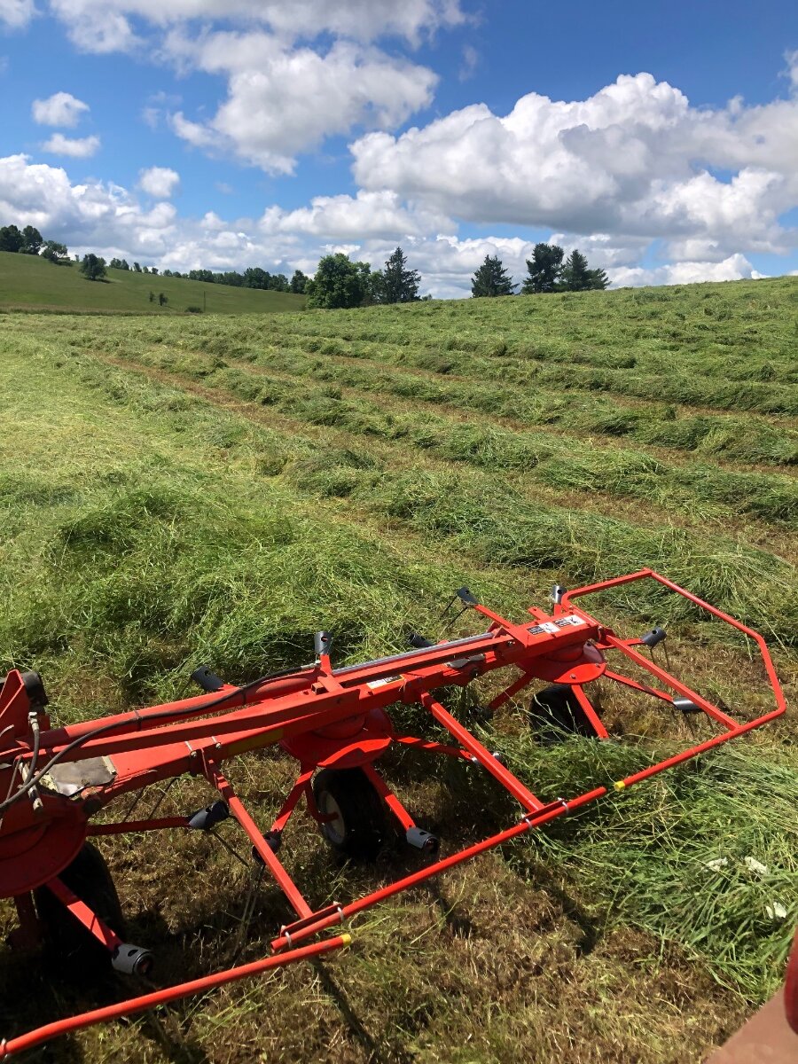 Poor hay crop - General Chat - Red Power Magazine Community