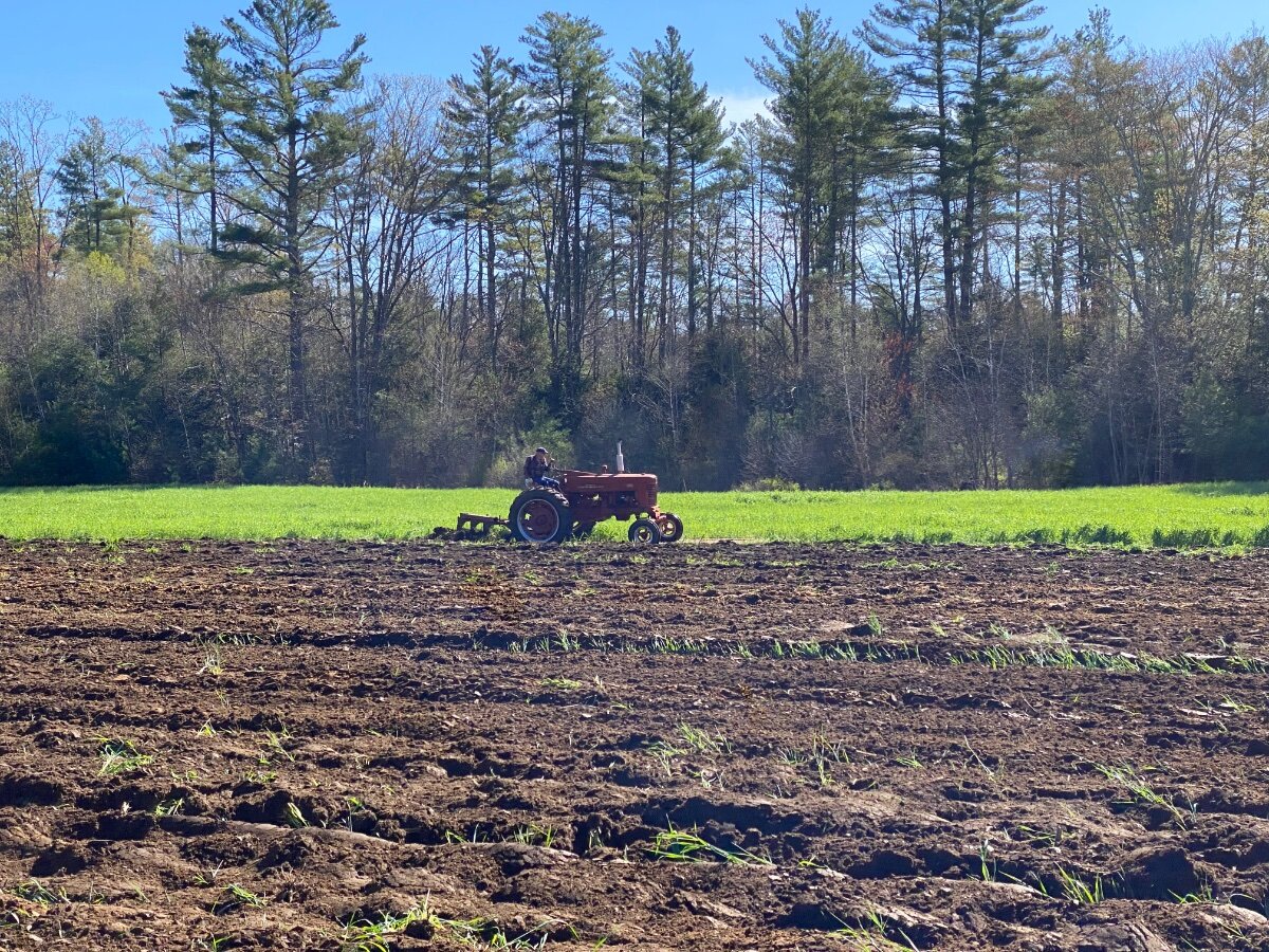 3rd Saturday in a row plow day - General Chat - Red Power Magazine ...