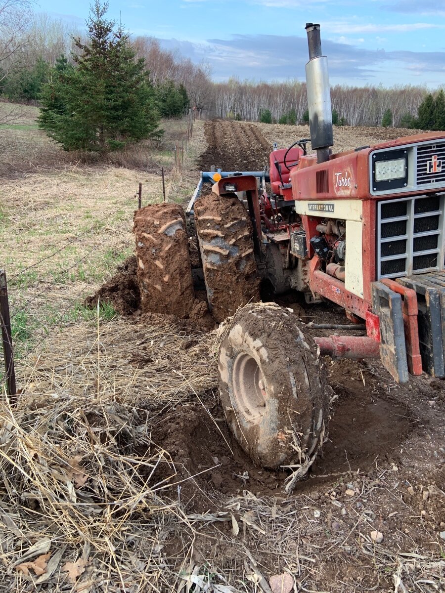 Lube light 1566 - Technical IH Talk - Red Power Magazine Community