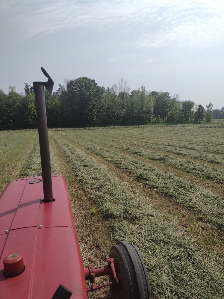 Hay pictures - General Chat - Red Power Magazine Community