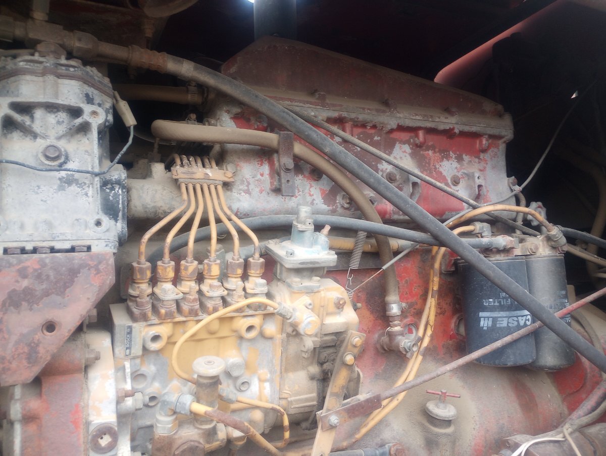 Additional 4366 - General Chat - Red Power Magazine Community