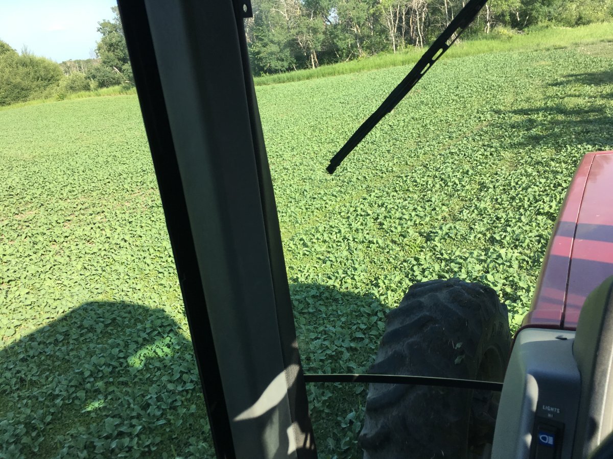 2023 crop pics - Page 4 - General Chat - Red Power Magazine Community