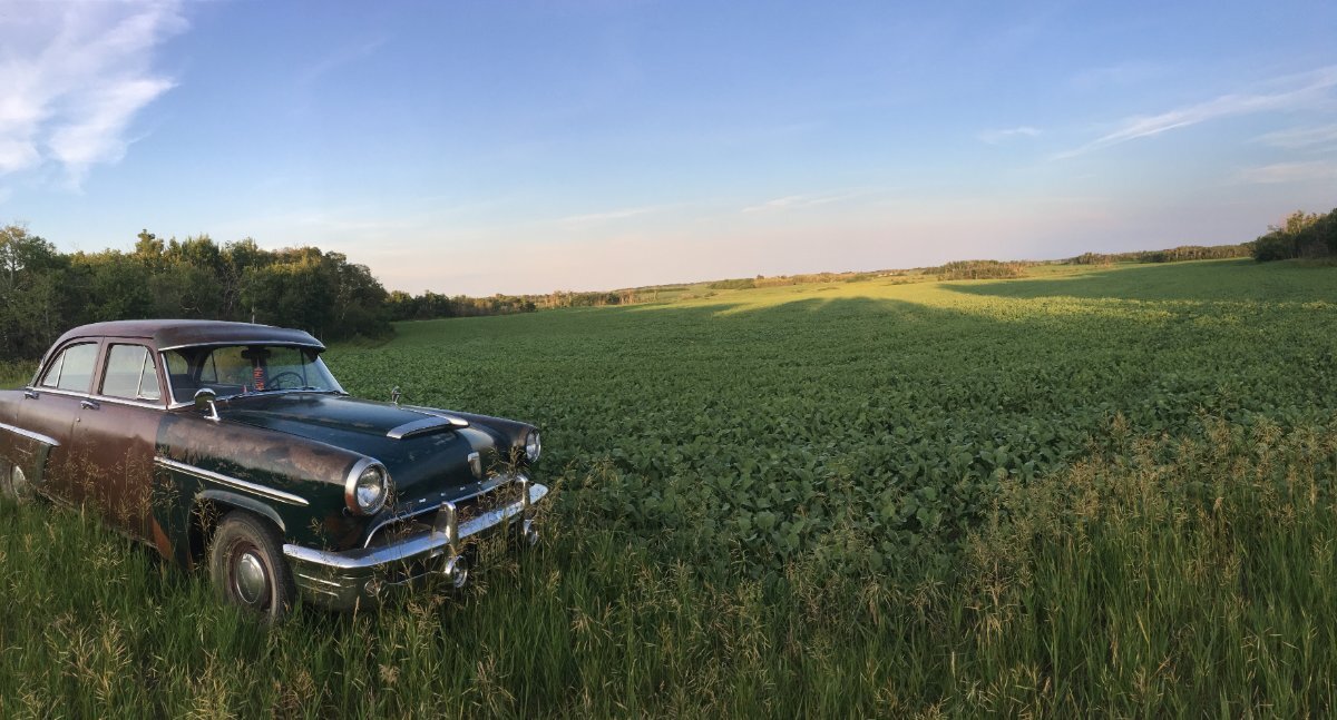 2023 crop pics - Page 5 - General Chat - Red Power Magazine Community