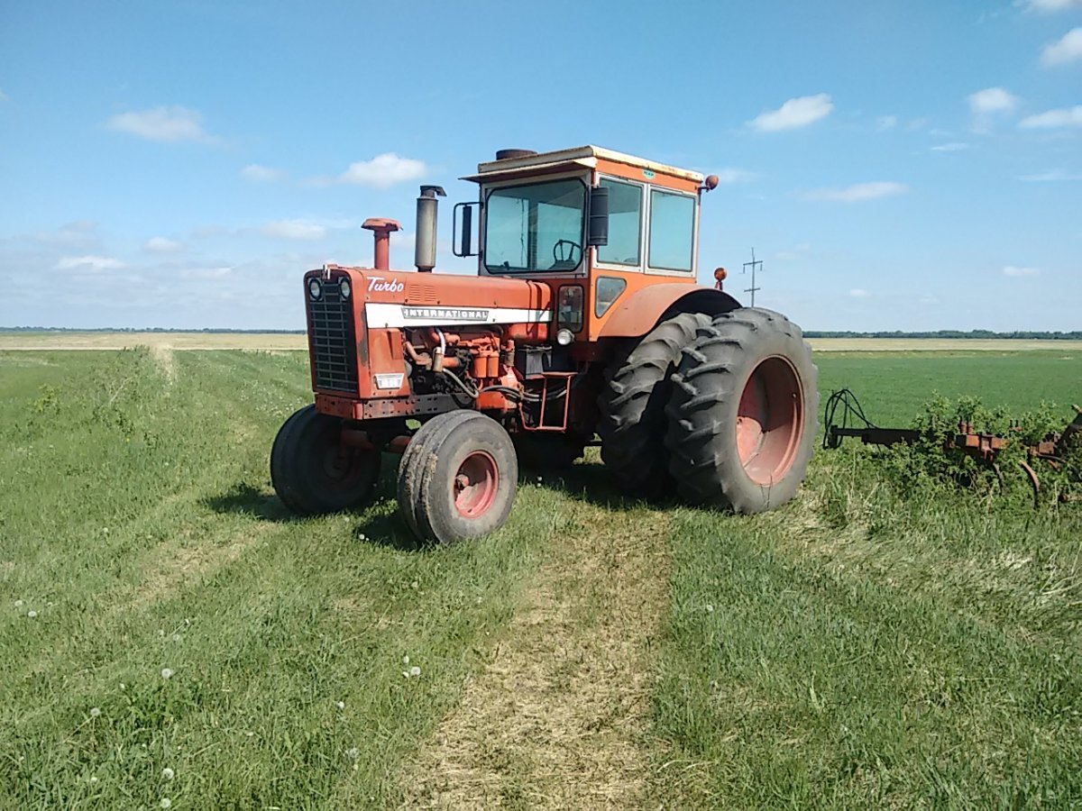 Tractor of the week. Week 27: 1256 - General Chat - Red Power Magazine ...