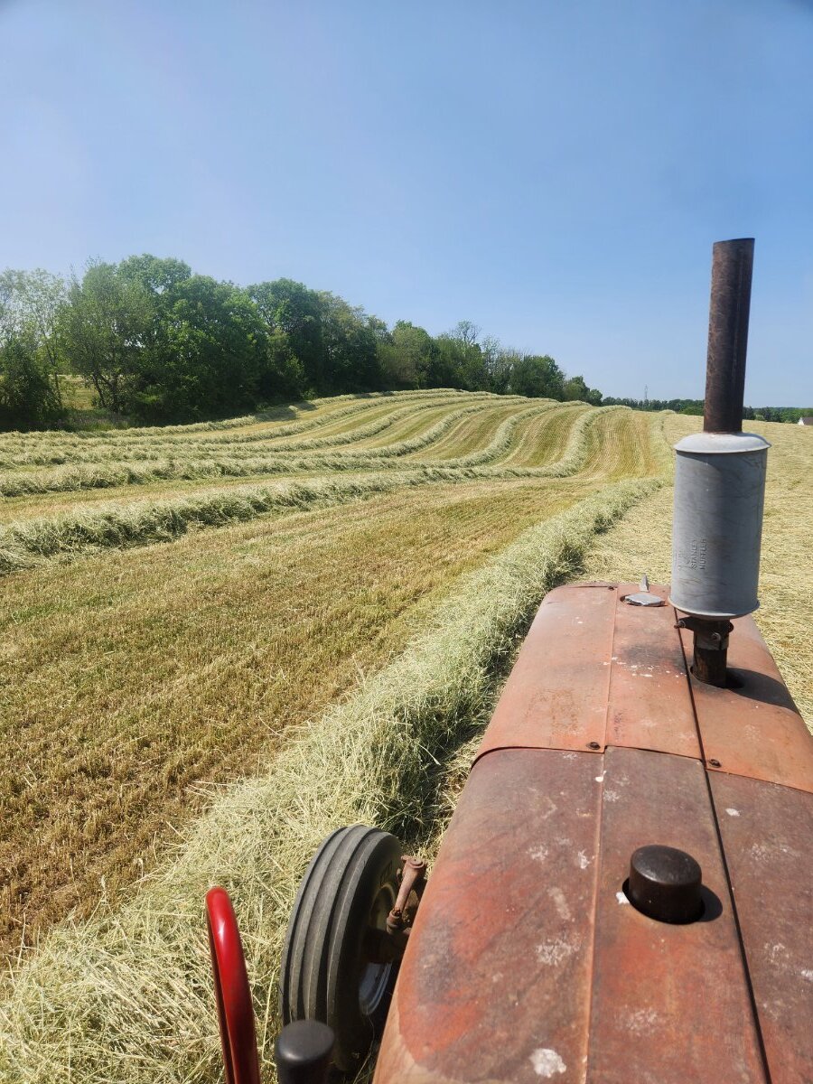 Hay pictures - General Chat - Red Power Magazine Community