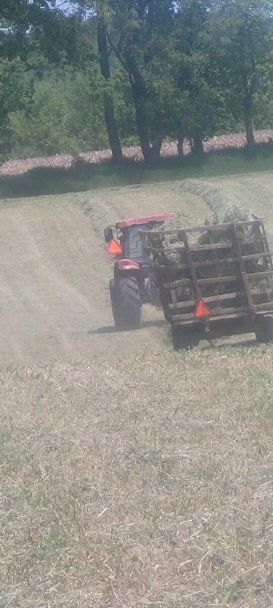 Hay pictures - General Chat - Red Power Magazine Community