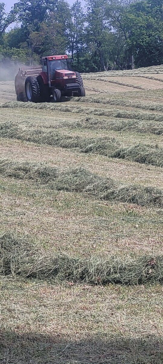 Hay pictures - General Chat - Red Power Magazine Community